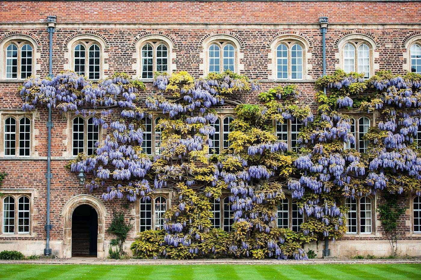 Photography guided tour of Cambridge - Cambridge Tours